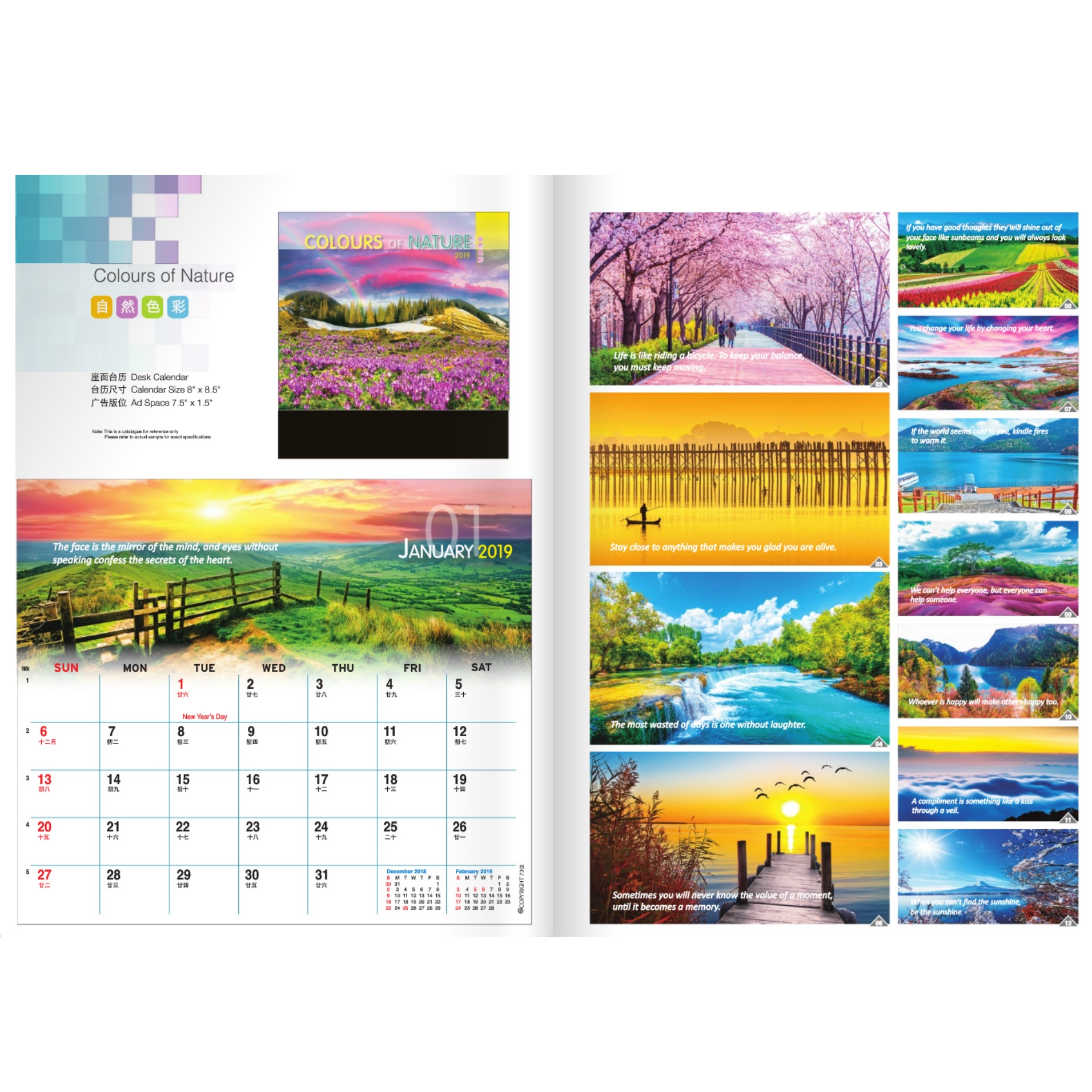 Affinity Creation | Desktop Calendar (Colours of Nature) | Corporate Gifts